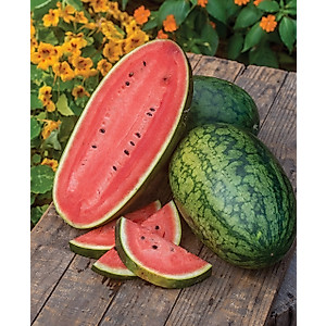 Burpee Mama's Girl Watermelon Seeds 25 seeds