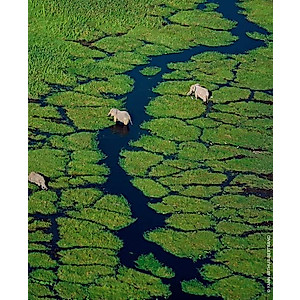 Guerlain Aqua Allegoria Orange Soleia Eau De Toilette Spray for Unisex, 4.2 Ounce