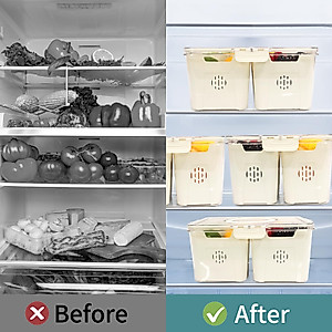 Fruit Storage Containers for Fridge, Fridge Organizer Containers for Food, Fruit Containers with Lid, Divided Serving Tray with Handle, Kitchen Organizers and Storage for Fruit Berry Veggie Vegetable