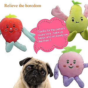 YUNKINGDOM Cute Carrot Fruits Dog Squeaky Toys Dog Toy for Pet Puppy Small Dog (Pack for 13)