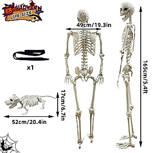 5.4Ft Halloween Life Size Human Skeletons with Dog Skeleton,Poseable Life Size Skeletons Plastic Human Bones with Movable Joints for Halloween Decoration