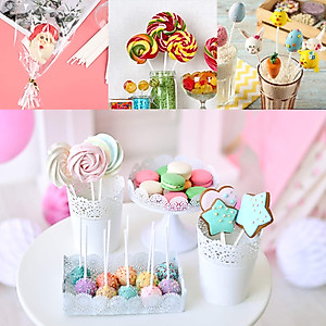 300Pcs 6 Inches Cake Pops Making Tools 100Pcs Cake Pop Sticks 100Pcs Cake Pop Bags and 100Pcs Twist Ties (Thin stick)