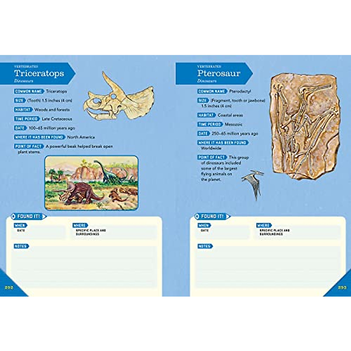 Outdoor School: Rock, Fossil, and Shell Hunting: The Definitive Interactive Nature Guide