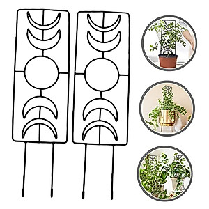 YARNOW 6 Pcs Cucamelon Plants Floral Vines Green Roses Trellis for Climbing Plants Outdoor Plant Vine Trellis Plant Grow Potted Plants Climbing Holder Orchid Climbing Rack Garden Supplies