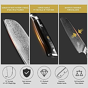XYJ Professional Damascus Chef Knife VG10 High Carbon Stainless Damascus Steel Knife Ergonomic G10 Handle Razor Sharp 7" Japanese Santoku Knife with Knife Sheath & Gift Box