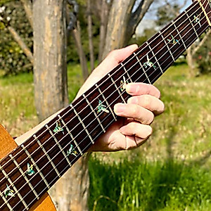 Bee Hummingbirds - Fret Markers Inlay Stickers Decals for Guitars