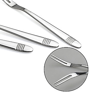 Begale 12-Piece Bistro Appetizer Cocktail and Fruit Forks, 2-Prong Forks, 5.4-INCH