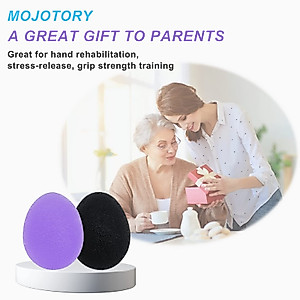 Stress Balls for Adults, Hand Exersicers for Strength, Squeeze Balls for Hand Therapy, Set of 2 Hand Exersice Balls for Hand, Finger and Wrist Training with Carrying Bag