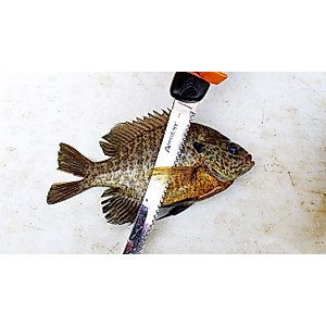 American Angler PRO Professional Grade Electric Fillet Knife Sportsmen's Kit – 110 Volt High Performance Ergonomic Motorized Handset with Five Kinds of Stainless Steel Blades, 32352DS