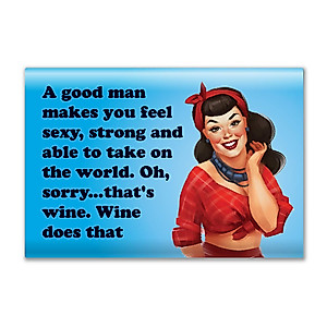 4 Pack Refrigerator Magnets - Funny Fridge Magnet - Perfect Housewarming Gift, or Gift for Women Friends