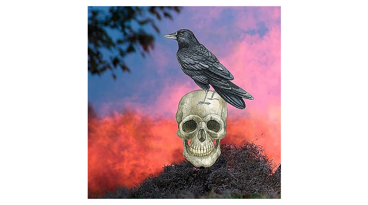 Scary Crow Skeleton Yard Sign for Halloween Decor