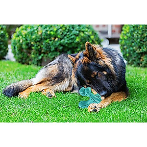 CVALIN Dog Chew Toys for Aggressive Chewers Large Breed,Indestructible Bones Toy，Durable Cleaning Toothbrush Natural Rubber Dog Toys