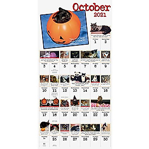 Bad Cat Wall Calendar 2021