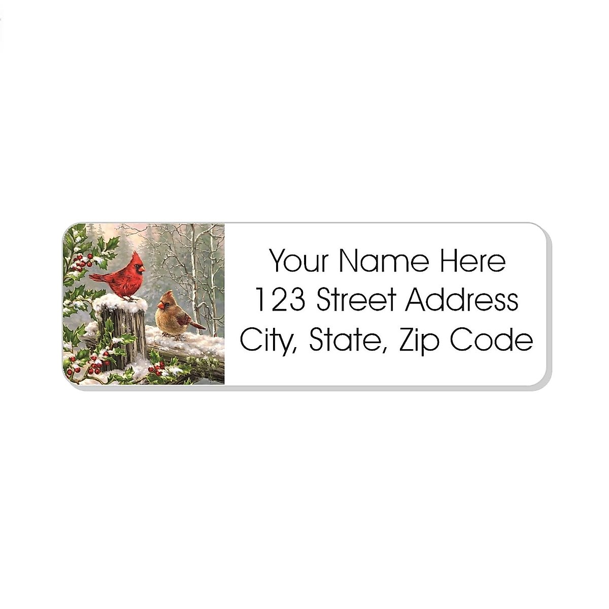 Return Address Labels Personalized - Set of 60 Custom Address Labels - Winter Birds for Envelope Mailings, Flat Sheets Easy Peel and Stick, Permanent Rectangle Labels (White) Made in USA