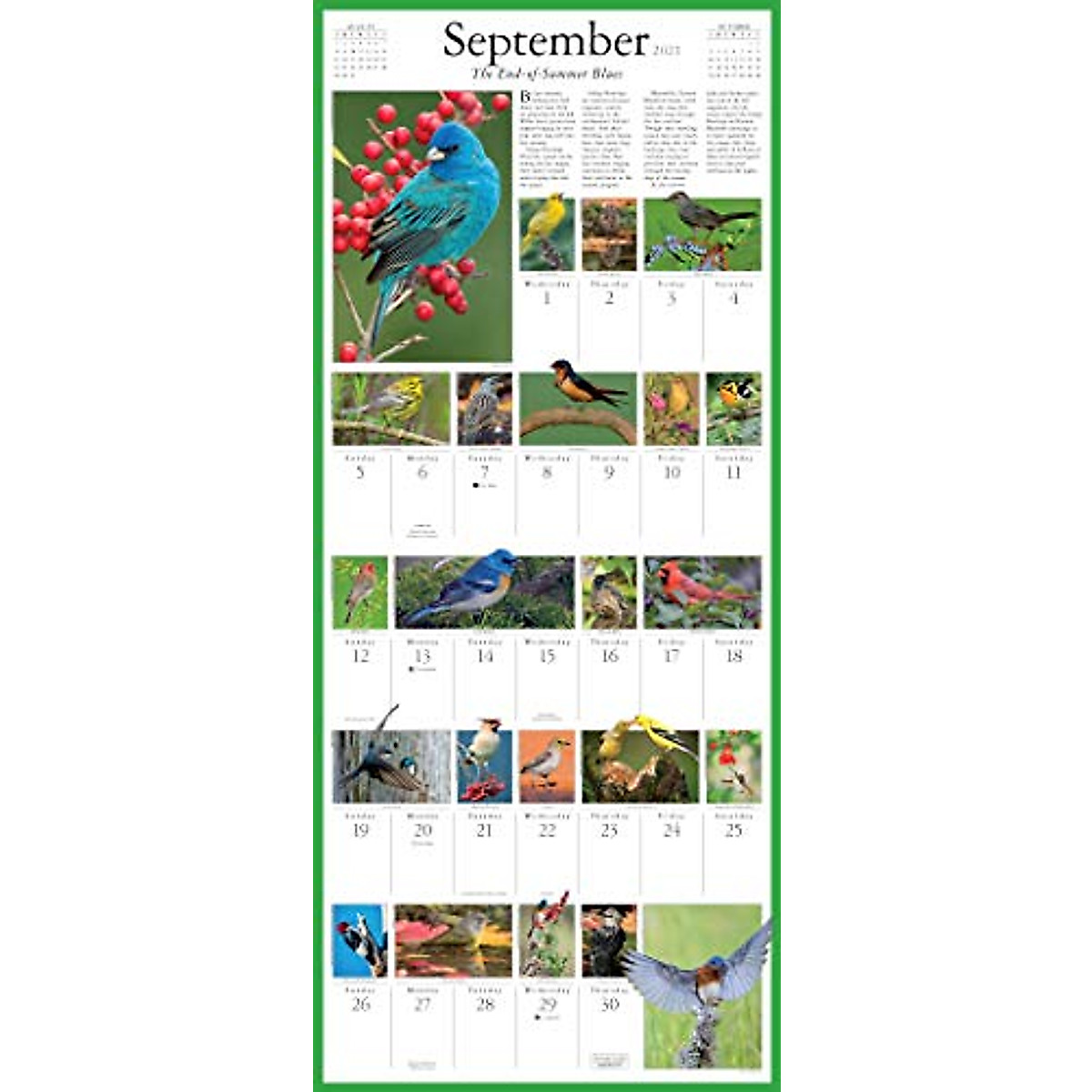 Audubon Songbirds and Other Backyard Birds Picture-A-Day Wall Calendar 2021