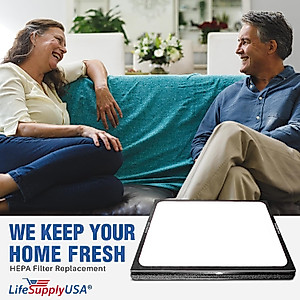 True HEPA Air Cleaner Filter Replacement Compatible with Blueair 200 SmokeStop 201, 203, 215B, 250E, 270E, and 303 Air Cleaners by LifeSupplyUSA (1 Pack)