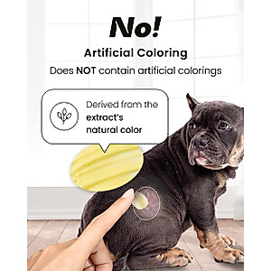 SUNNY SIDE UP Dog Cat Paw Moisturizer Yellow Centella Salve | Dog Lotion for Dry Itchy Skin & Cracked Paws | Cat Itchy Skin Allergy Relief | Cat & Dog Paw Balm for Skin Irritation (1.16 fl oz)