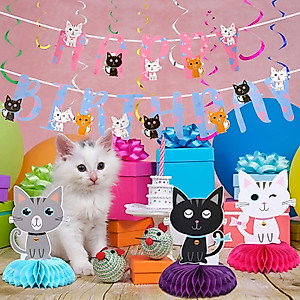 Chinco 16 Pcs Cat Theme Birthday Party Decorations Party Supplies Kit, Includes Cat Party Banner with 6 Cat Hanging Cutouts 6 Hanging Swirl Decor and 3 Birthday Honeycomb Party Decoration(Cool Style)