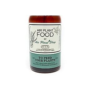 Air Plants Fertilizer in fine Mist Spray Bottle – Plant Food for Tillandsia - Monthly use for Growth of House Plants (1 Pack - 8 OZ)