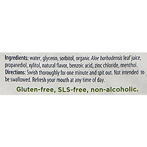 Tom's of Maine Natural Wicked Fresh! Alcohol-Free Mouthwash, Cool Mountain Mint, 16 oz. (Packaging May Vary)