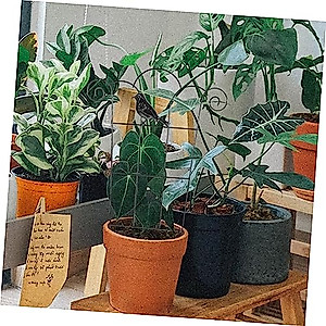 Yardwe 10 Pcs Plant Shelf Outdoor pots Plants Plant Cages Stake Climbing Plant Trellis Climbing Plants Holder Potted Plant Indoor Plants Stand Tomato Plant Roses Plants Rose trellises