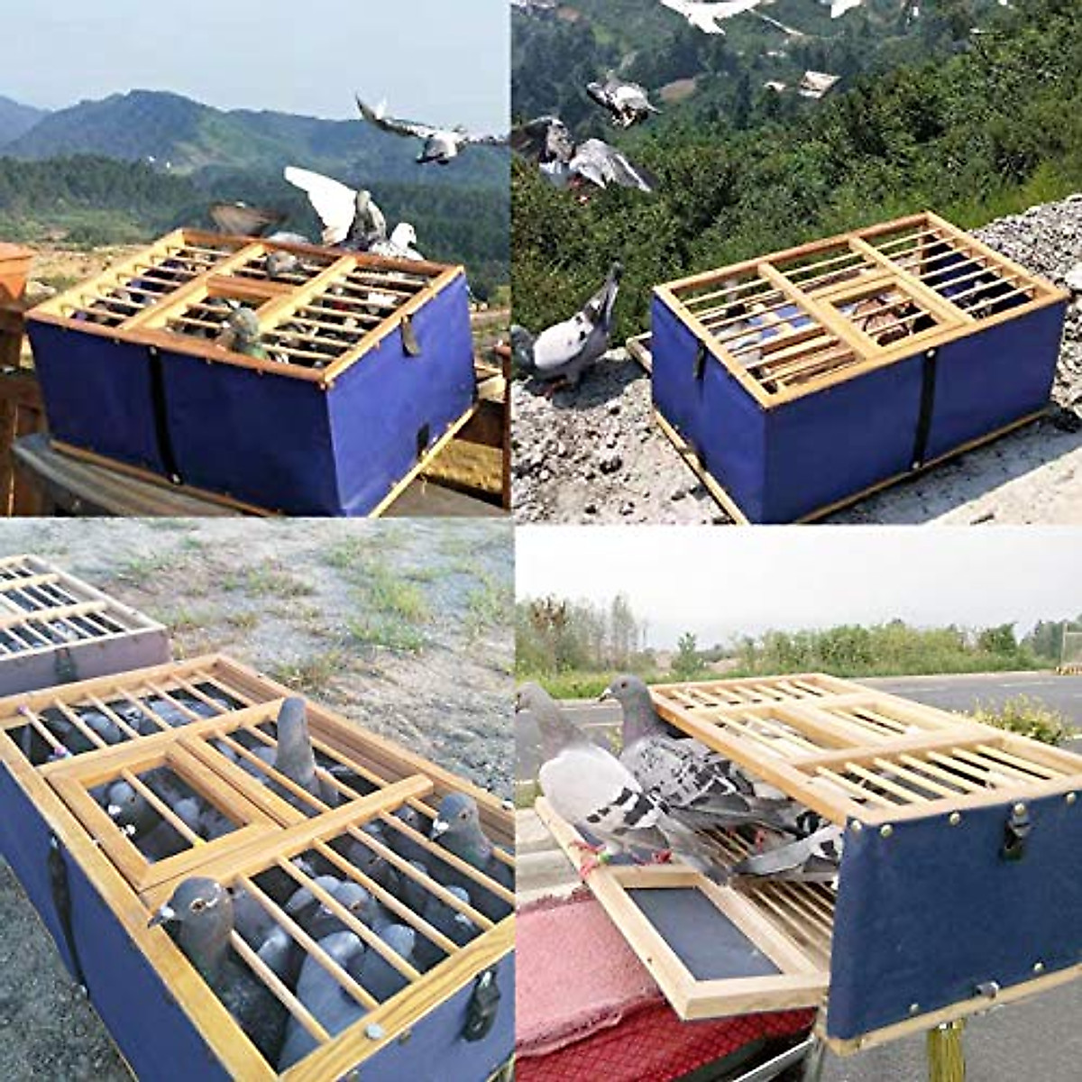 Pigeon cage Foldable Wooden Transportation Cage for Racing Pigeon Poultry cage Portable Takeout Transport Pigeon Flying Cage Homing Chicken Poultry Transportation Coop. Size 24×12.5×9in