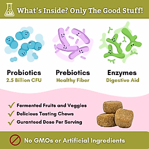 Wholistic Pet Organics: Probiotic Chews for Dogs Digestive Health - 60 Count - Dog Probiotics and Digestive Enzymes - Support Gut Health Immune Supplement Prevents Dog Digestive Problems