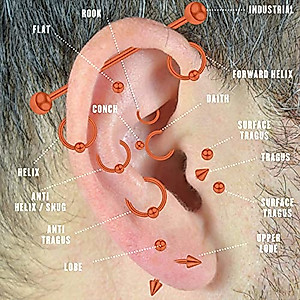 LOYAL BOOK 104pcs Piercing Kit 14G16G Belly Button Piercing Kit Septum Piercing Kit Belly Piercing Kit Piercing Kits for all piercings (Stainless steel color)