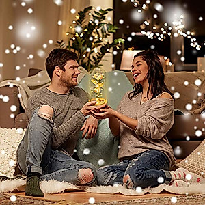 Beferr Gifts for Women, Birthday Gifts Galaxy Glass Rose Crystal Flower Gift Light Up Rose in Glass Dome, Colorful Rainbow Artificial Flower Rose Gifts for Her Mom Grandma Sister Wife Friends