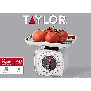 Taylor 38804016T Digital Kitchen Scale, Analog, 5-1/2 in L x 5 in W, Multicolor