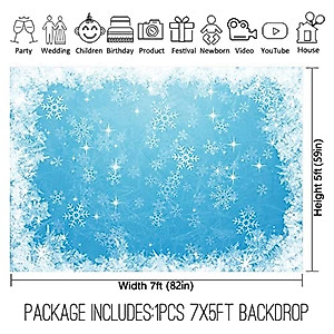 Allenjoy 7x5ft Ice Blue Winter Backdrop for Studio Photography 1st First Birthday Party Decoration Banner Festival White Snowflake Snowfall Christmas Background Baby Shower Kids Photo Booth Props