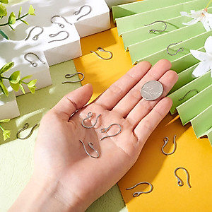 Pandahall 100pcs 304 Stainless Steel Earring Hooks 21.5x11x1mm with Loop Hole Ear Wire Findings for DIY Jewelry Making