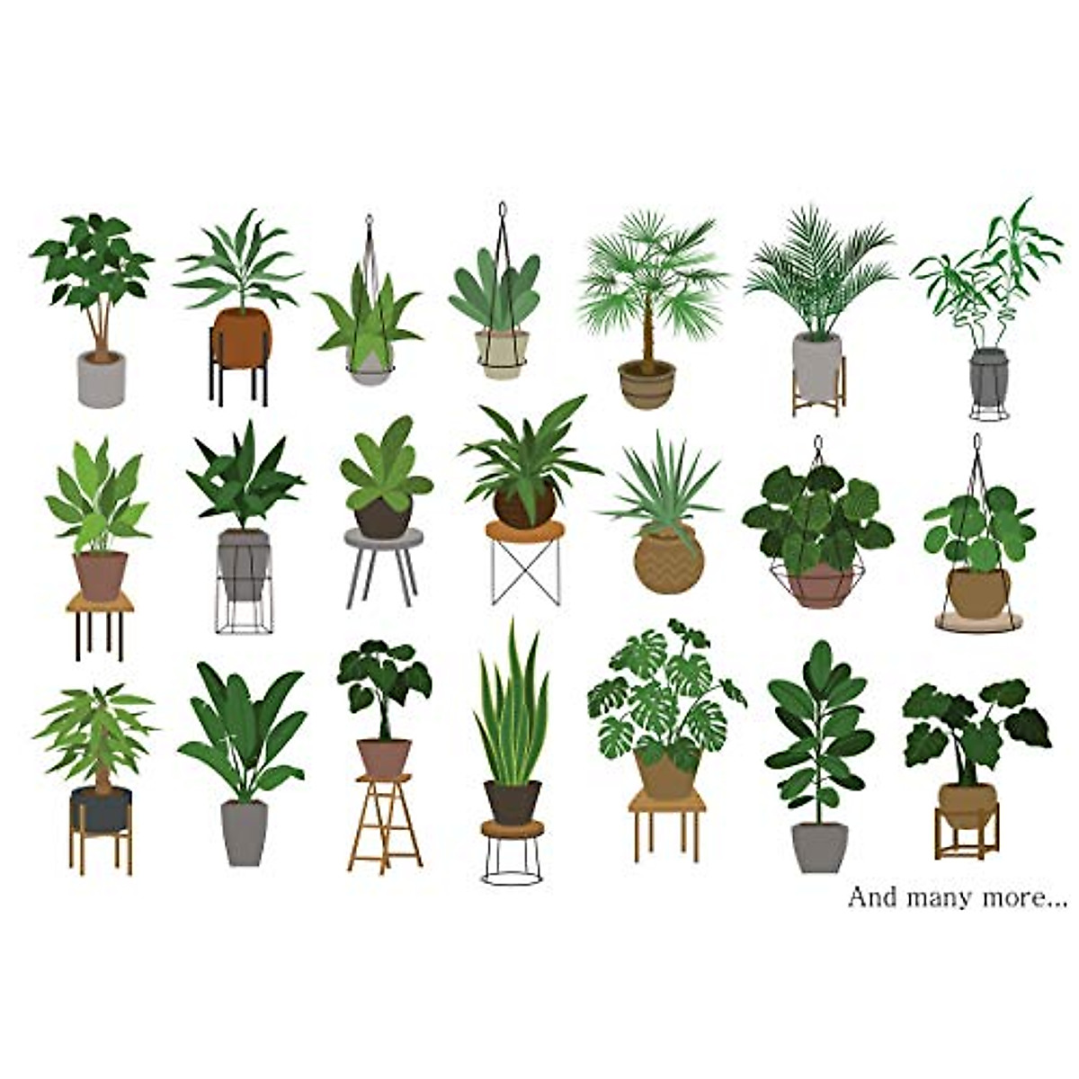 Indoor Plant Food | All-purpose House Plant Fertilizer | Liquid Common Houseplant Fertilizers for Potted Planting Soil | by Aquatic Arts