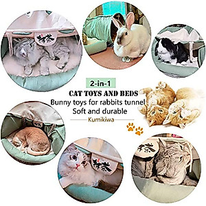 KUCDBUN Cat Tunnel Bed, 2-in-1 Collapsible Cat Tunnel Tubes Toys with Removable Mat for Pet Cats Kittens Puppies Rabbits Bunnies Ferrets (Matcha)
