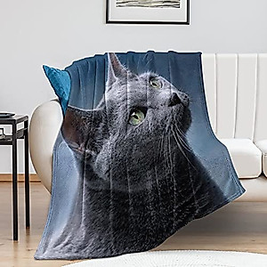 Fleece Blanket Plush,Blue Russian Cat Feline Animal Tail Whiskers Beautiful Carnivore Charming Claw,Microfiber Fuzzy Soft Cozy Flannel Throw Blankets for Couch, ?Bed, Sofa, Camping, Travel