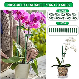 30 Pack Plant Stakes 12 Inch, Adjustable Length Plant Support Stakes for 3 Sizes (12, 24 or 36 Inches), Green Plant Sticks Fiberglass Single Stemmed Flower Support for Potted Indoor Plants
