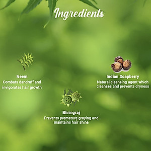 Biotique Margosa Anti-Dandruff Shampoo & Conditioner 190Ml/ 6.42 Fl.Oz I Leaves Hair Fresh, Lustrous And Full Of Natural Body