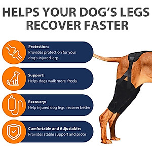 Huimpet Dog Knee Leg Brace, Dog ACL Brace for Back Hind Rear Leg, Dog Leg Support Brace for Torn ACL Tear, Luxating Patella, Hip Dysplasia and Dog Arthritis, Adjustable (Large)