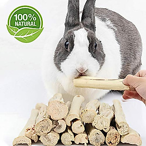 BWOGUE 100g Pet Snacks Sweet Bamboo Chew Toy for Squirrel Rabbits Guinea Pigs Chinchilla Hamster (About 10-14 Sticks)