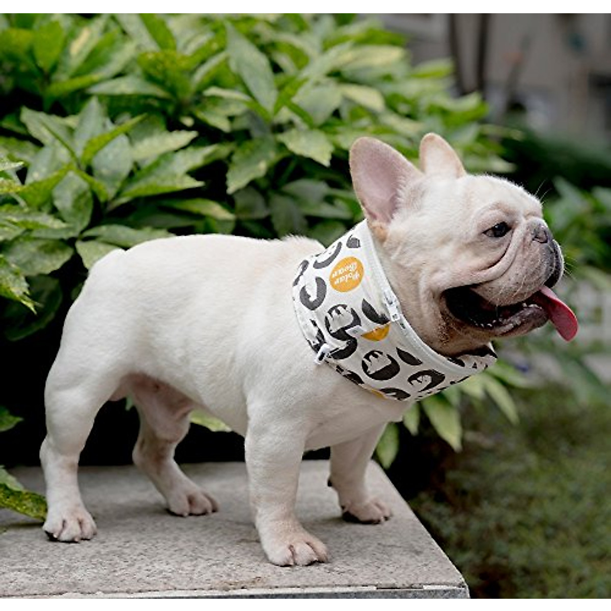 Dog Cooling Bandana, Stock Show Pet Dog Adjustable Ice Chill Out Collar Scarf with 4 Ice Packs for Summer (White Bear)