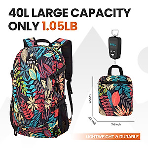 Venture Pal 40L Lightweight Packable Travel Hiking Backpack Daypack