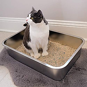 Midlee Stainless Steel Cat Litter Box- XL Size- 23.5" x 15.5" x 5.75"