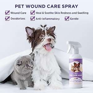 HICC PET Itch Relief Spray & Hot Spot Treatment for Dogs Cats 16.1 Fl Oz
