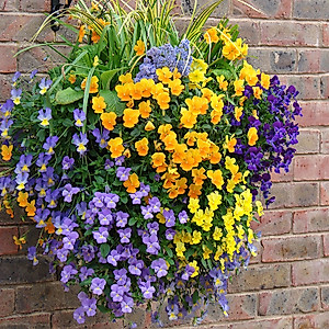 Ultimate Hanging Baskets - Strawberry, Tomato, Flower, and Herb Outdoor Planters - Use Garden Pots For Growing Plants Outside On A Deck, Fence, or Balcony (2, Mocha)