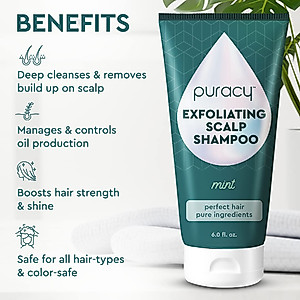 Puracy Scalp Scrub, 99.96% Natural Scalp Exfoliator, Hair Scrub, Scalp Exfoliator Scrub, Scalp Treatment, Scalp Cleanser, Dry Scalp Treatment, Scalp Care, Scalp Shampoo, Itchy Scalp Shampoo - Mint