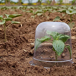 SOLIGT Garden Cloche, 10 Set Thick Plant Bell Clochoes Plastic Humidity Domes with Clear Vent & 40 Securing Pegs (7.88" D x 6.89" H) for Seed Starting and Plant Cover Protector