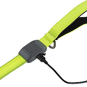 Nite Ize NiteDog Rechargeable LED Leash, USB Rechargeable 5 Foot Light Up Dog Leash w/Padded Handle, Lime