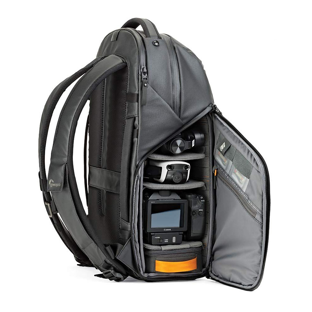 Lowepro Freeline Camera Backpack 350 AW, Black. Versatile Daypack Designed for Travel, Photographers and videographers. for DSLR, Mirrorless, Laptops, Bridge, CSC, Lenses and Travel Gear.