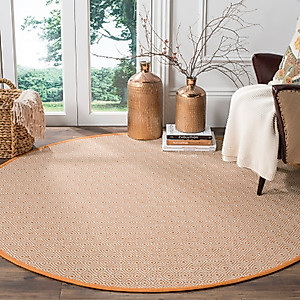 SAFAVIEH Montauk Collection Accent Rug - 3' x 5', Ivory & Light Blue, Handmade Flat Weave Cotton, Ideal for High Traffic Areas in Entryway, Living Room, Bedroom (MTK515D)