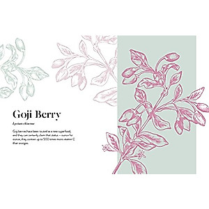 Adaptogens: Harness the power of superherbs to reduce stress & restore calm